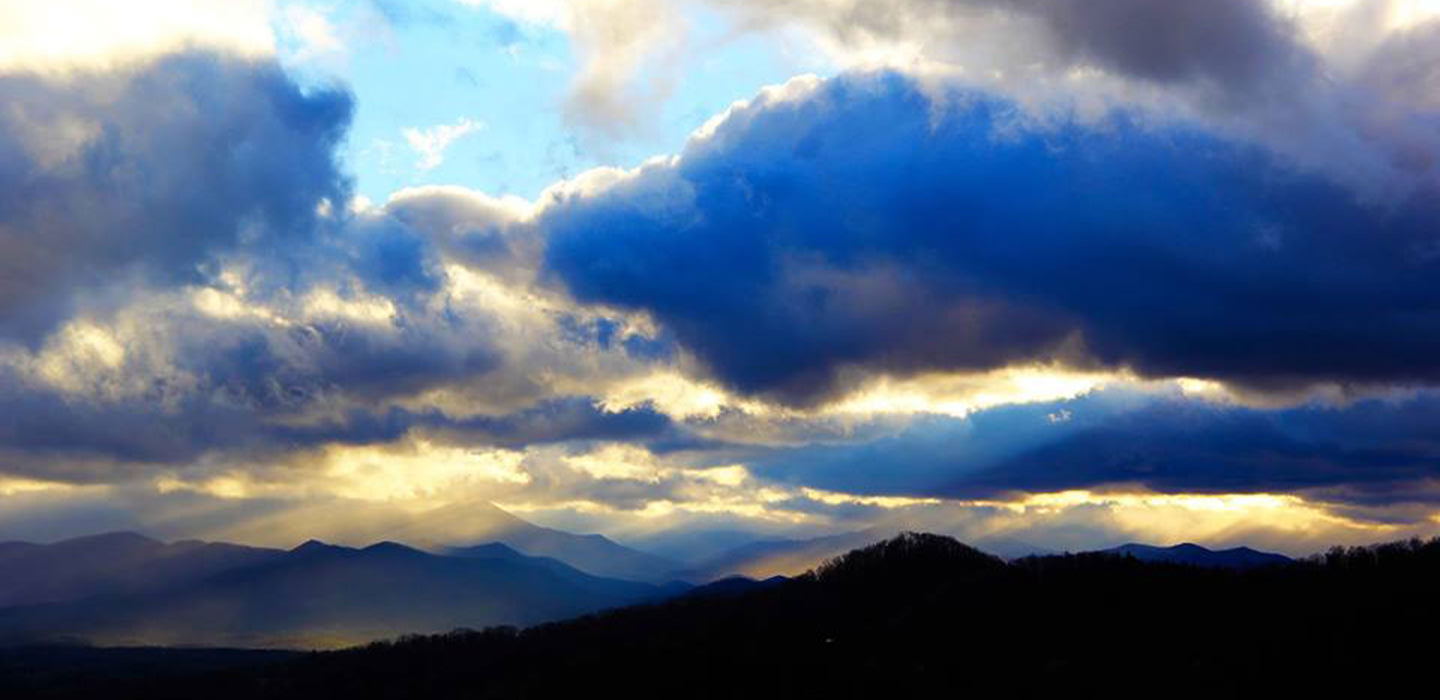 Part of Their Story | ACMNP