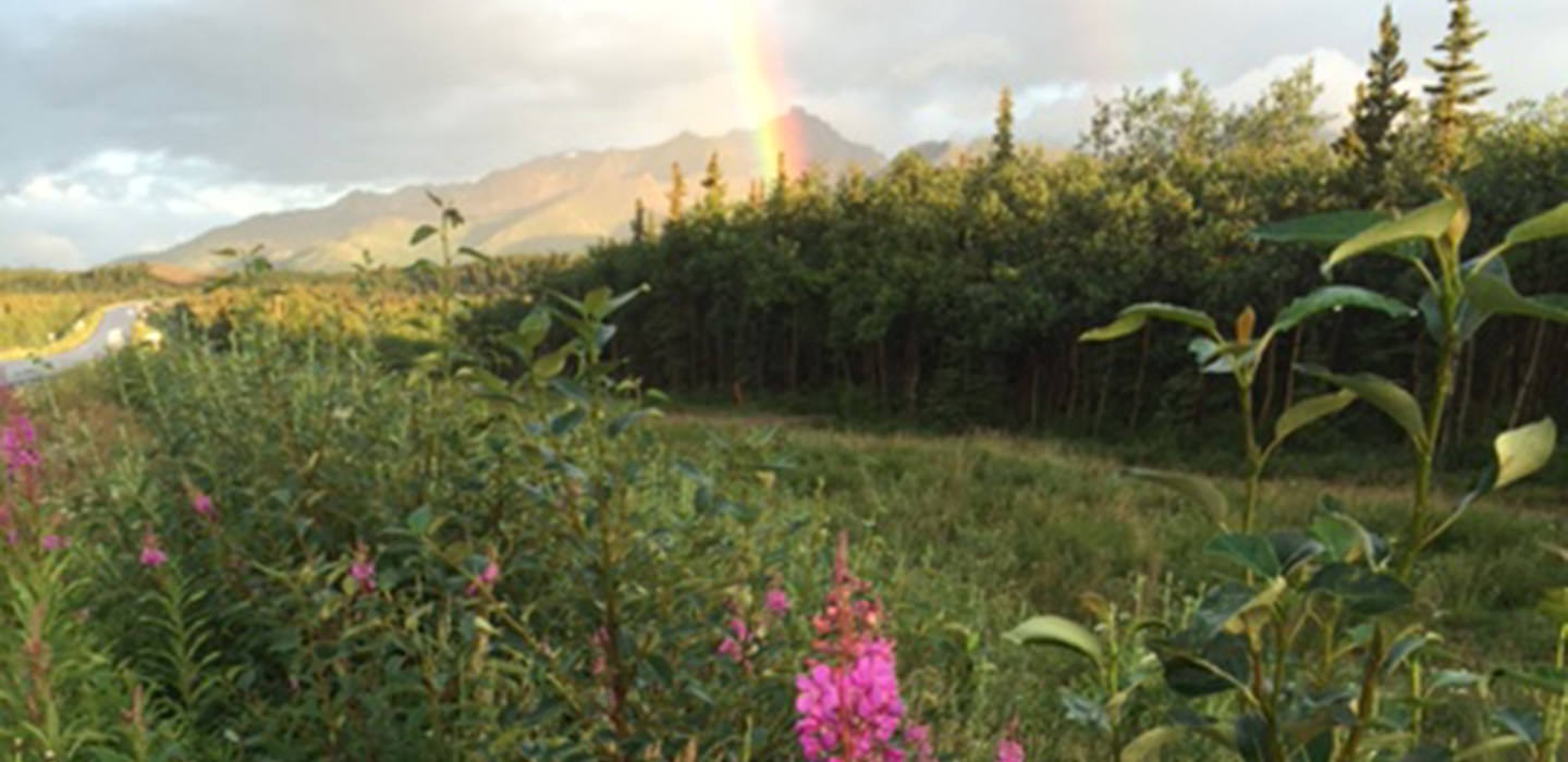 Marvel, Awe & Reverence | ACMNP