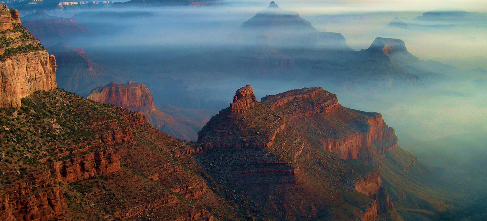 Wholly Authentic | ACMNP