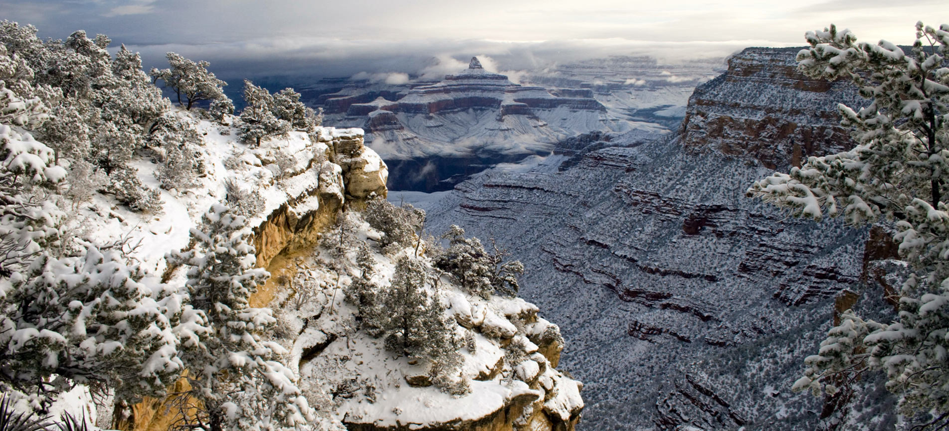 Changing the Course of our Lives | ACMNP