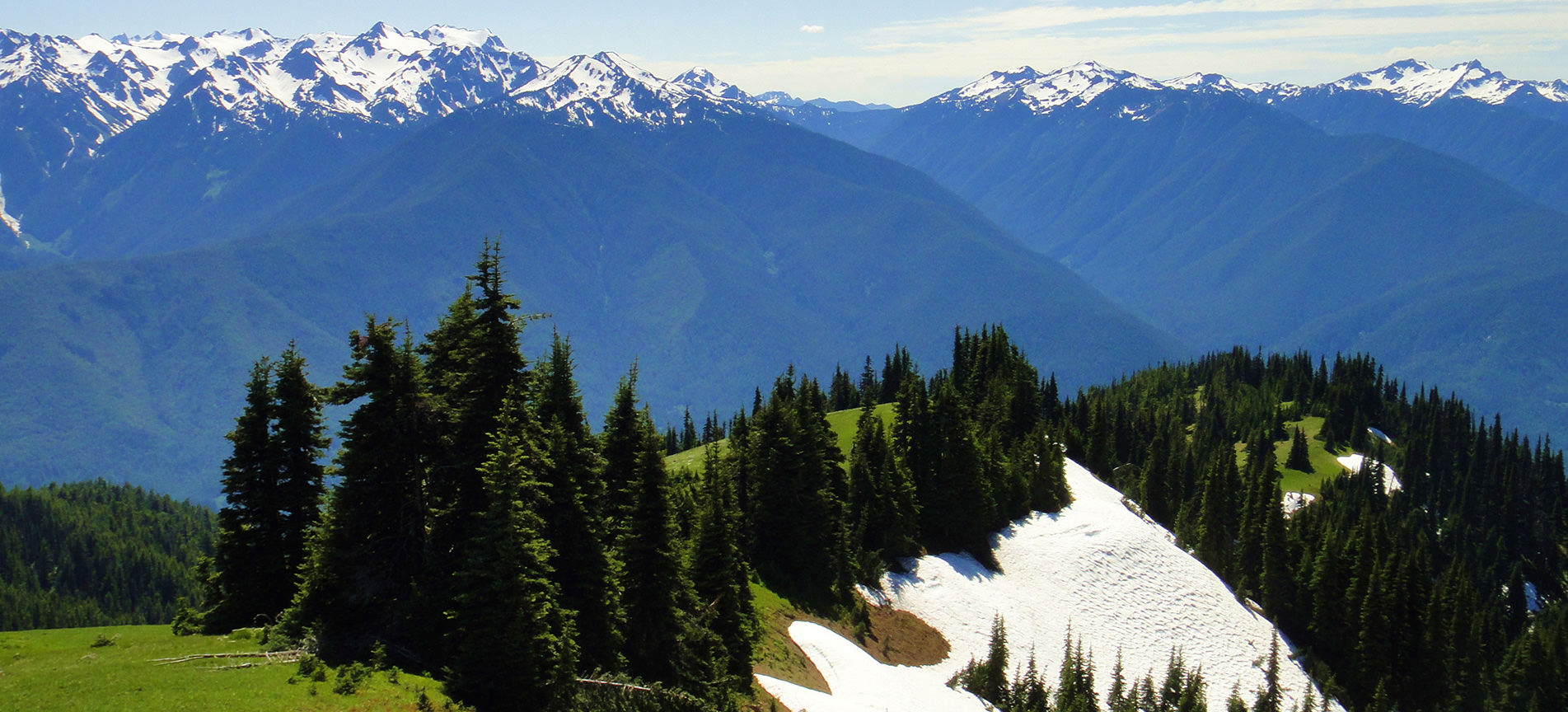 Olympic National Park | ACMNP