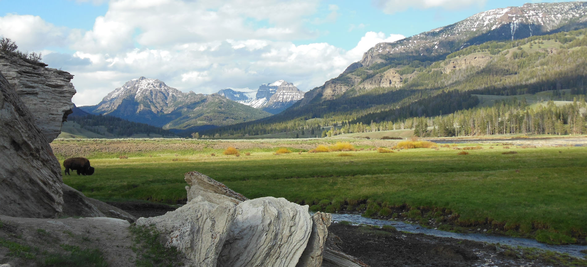 Love of God & Nature | ACMNP